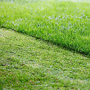 AIVOLT Cordless Weed Trimmer, 20V String Trimmer Battery Powered 2 in 1 Brushless Weed Wacker/Edger Lawn Tool for Yard and Garden, Battery and Fast Charger Included