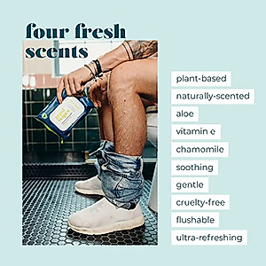 Goodwipes Flushable & Plant-Based Wipes with Botanicals | Dispenser for At-Home Use | Variety Pack with Aloe Septic and Sewer Safe | 240 count (4 packs) - Biggest Adult Wipes