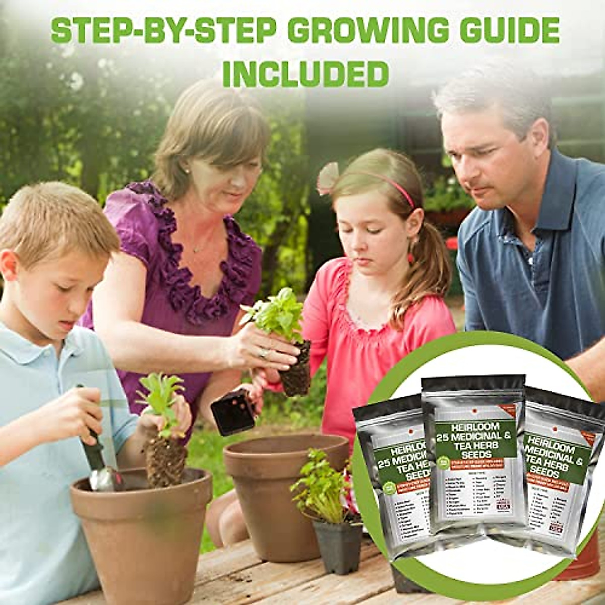 Most Popular Heirloom Non GMO Tea and Herb Seeds for Planting Indoor and Outdoor Garden