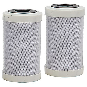 Watts Premier WP560100 5 Micron Carbon Block Water Filter, 2-Pack