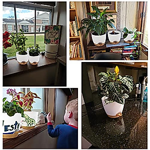 Self Watering Planters with Drainage Holes Reservoir,Nursery Planting Pot for Indoor Decor Garden Plants Succulents,Snake Plant, African Violet,Plastic Flower Pots Set 7+6.5+6+5.5+5 Inch (White)