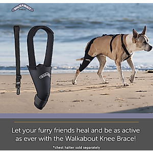 WALKABOUT Knee Brace (Small Left (7-9")