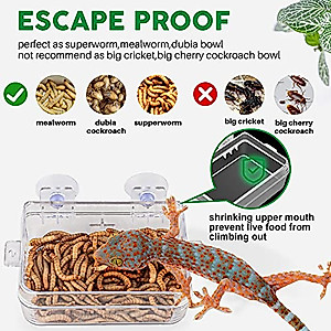 2 Pack Reptile Water Food Dish 1 Feeding Tongs,Tank Accessories for Lizard Bearded Dragon Leopard,Crested Gecko Chameleon Tortoise Frog Hermit Crab Iguana,Superworm Dubia Mealworm Escape Proof Bowl