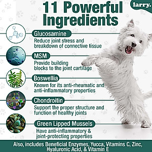 Dog Hip and Joint Supplement by Larry | Chondroitin, MSM, Hyaluronic Acid, & Glucosamine for Dogs | Dog Hip & Joint Care for All Breeds & Sizes | Dog Treats for Hip and Joint Health, (120 Soft Chews)