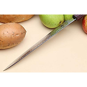 Yoshihiro VG-10 46 Layers Hammered Damascus Sujihiki Japanese Slicer Knife (9.5'' (240mm) Rosewood Handle)