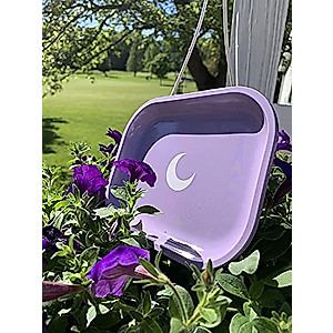 Metal Tray Small Purple Lightweight Tray - Curved Edges and Smooth Surface - 5.5 x 7 inch - Travel