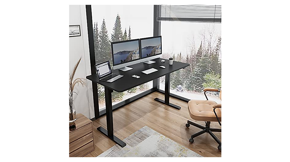 FLEXISPOT EC1 55" Electric Standing Desk for Home Office