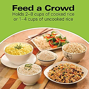 Hamilton Beach Mini Rice Cooker & Food Steamer, 8 Cups Cooked (4 Uncooked), With Steam & Rinse Basket, White (37508)