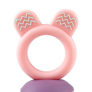 Baby Fruit Food Feeder PacifierTeether Toys Set - Silicone Fresh Food Feeder Teether with 2 mesh Silicone Bags and Teething Toys All in One Infant Teether Toys