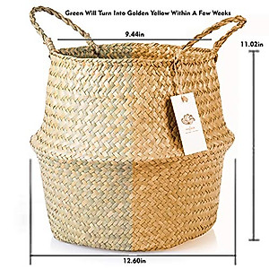 Seagrass Belly Basket with Handles – 12.6"x11" - 100% Hand Woven from Sustainably Grown Seaweed – Decorative Basket for Living Room and Bedroom and for Storage of Blankets, Laundry and Toys
