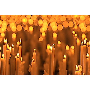 50 Natural Pure Beeswax Taper Candles 11" Tall Church Jerusalem Holy Land Candles