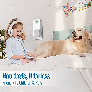 Qualirey 30 Pack Flying Insect Trap Refill Compatible with VEYOFLY Fly Trap VF01, Glue Board Insect Catcher, Replacement Sticky Glue Cards for Insect Bug Mosquito Gnat Fruit Fly Trap Indoors