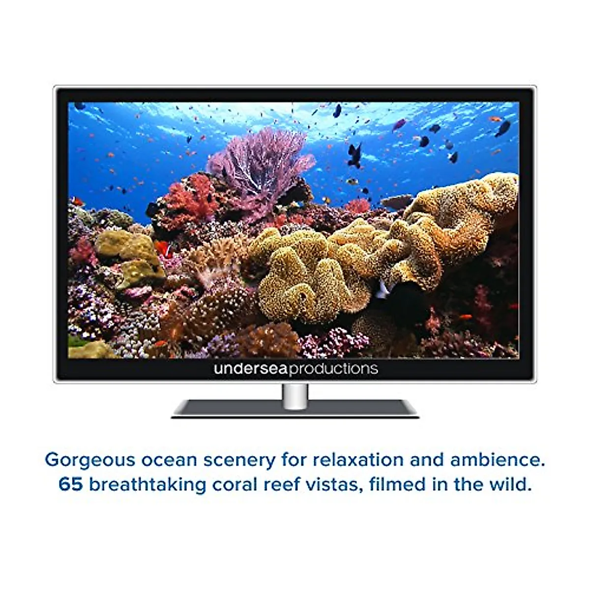Reefscapes: Nature's Aquarium DVD, nature video of tropical fish and coral reefs filmed in the ocean, for relaxation and ambience