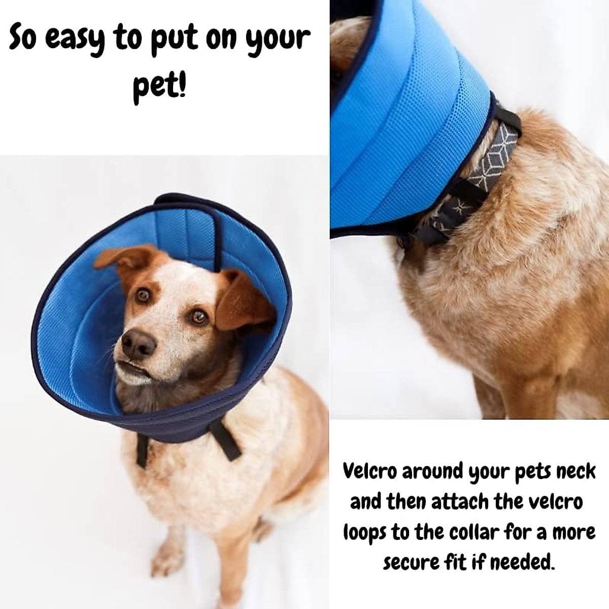 Generic Extra Large Pet Recovery Collars Extra Large Blue