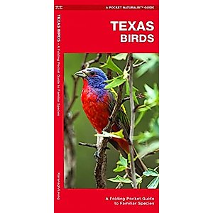 Texas Birds: A Folding Pocket Guide to Familiar Species (Nature Observation North America)