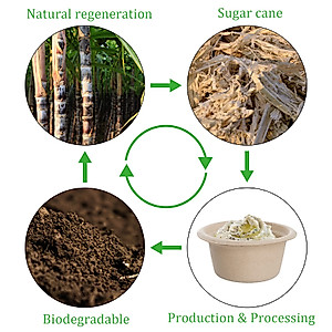 Yesland 200 Pack 2 oz Natural Bagasse Fiber Cups with Lids, Paper Tasting Cups Disposable Sample Food cup, Compostable Sauce Containers for Snack Tasting Charcuterie