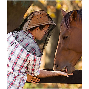 2 Pack Head Net Face Mesh Head Cover for Outdoor Lovers Protect from Fly Screen Mosquito Gnat and Other Flies (Regular Size, Black)