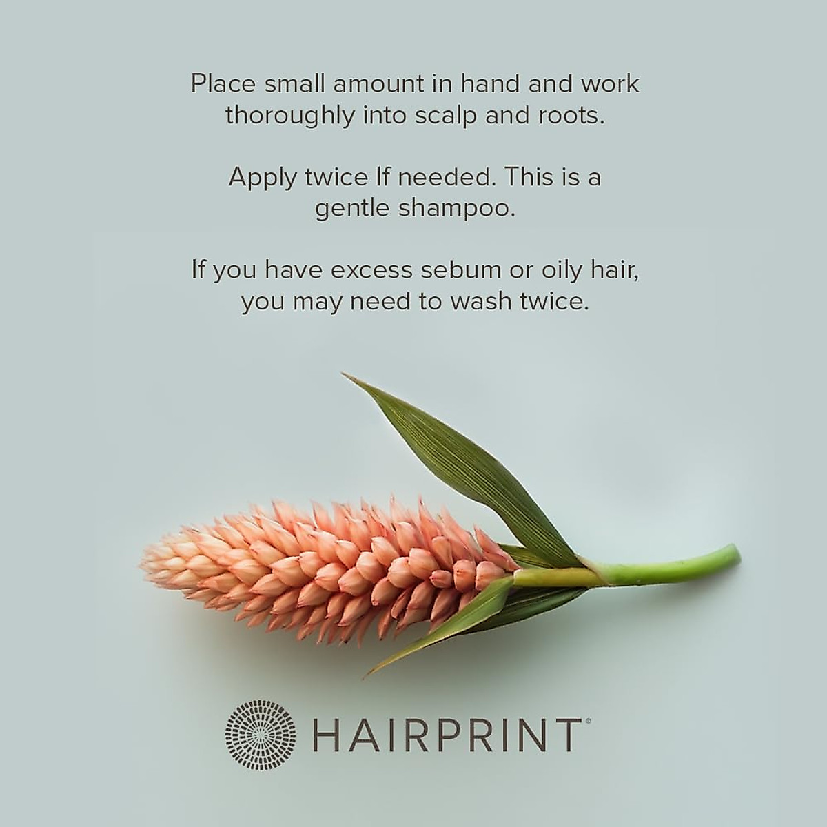 Hairprint Wash & Grow Shampoo | Plant-Based Therapy for Healthier, Faster Growing Hair | Nourishes, Strengthens & Stimulates Scalp | Gentle Botanically Infused Formula | Non-Toxic (8 Fl Oz)