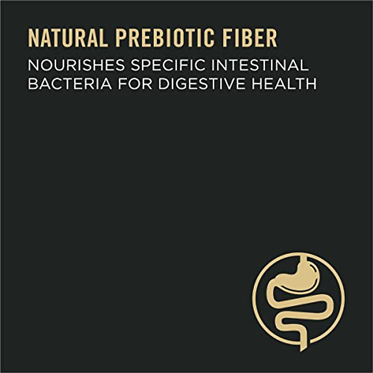 Purina Pro Plan Adult 7+ Complete Essentials Shredded Blend Beef & Rice Formula High Protein Dog Food for Senior Dogs - 18 lb. Bag
