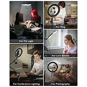 LUOLED Ring Light with Stand and Phone Holder, USB 10'' Ring Light for Desk, Overhead Camera Mount with Ring Light, Desktop Ring Light with Clamp for Photography/Makeup/Live Stream Video/YouTube