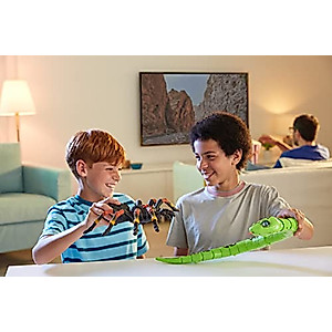 Robo Alive King Python by ZURU (Frustration Free Packaging) Battery-Powered Robotic Snake , Interactive Kids Toys, Giant Prank Snake Toy for Boys, 31 Inches