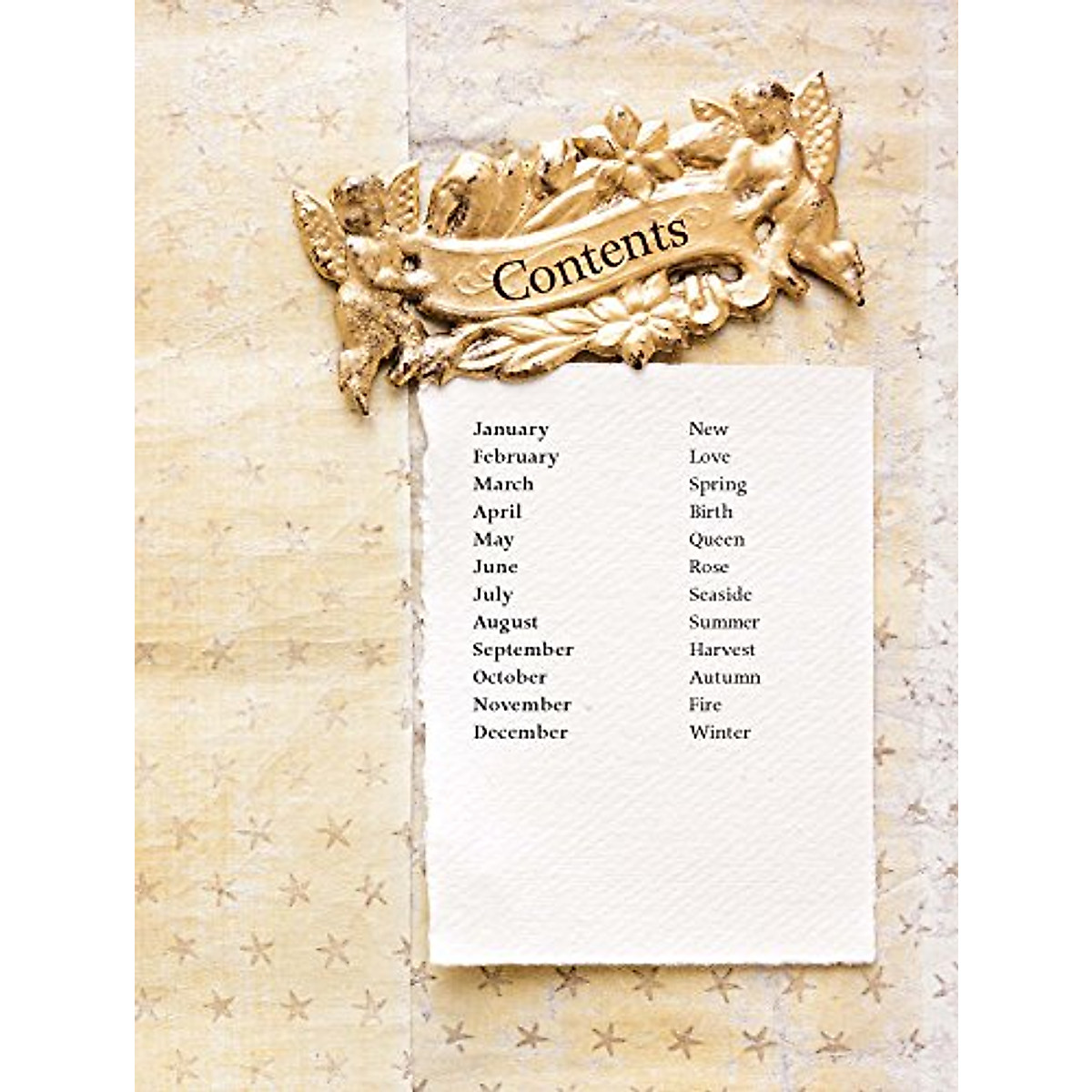 The Magpie and the Wardrobe: A Curiosity of Folklore, Magic and Spells