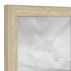 MCS Studio Gallery 8x10 Picture Frame Natural Woodgrain, Vertical & Horizontal Wall Hanging & Easel for Tapletop Display, Rectangle Photo Frame for Photos, Posters & Art Prints (4-Pack)