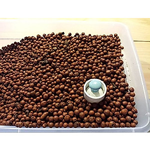 Aquaponics Auto Bell Siphon Kit 6" Media or Smaller Grow Bed Mini Garden! Great For Half 5Gal Dutch Buckets, Over 7000 Siphons Sold