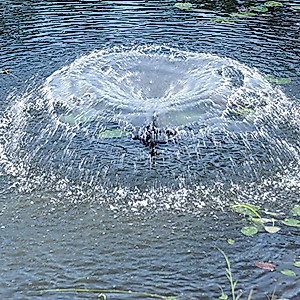 OASE 45383 1/4 Hp Floating Fountain with Lights, one Size, Black