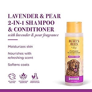 Burt's Bees for Dogs Lavender Pear Shampoo & Conditioner | 2-in-1 Dog Shampoo and Conditioner with 98.2% Natural Origin Ingredients | Lavender Pear Dog Shampoo & Conditioner Soothes and Softens Dogs