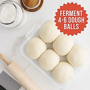 Chef Pomodoro Pizza Dough Proofing Box, 14 x 11-Inch, Pizza Dough Container, Fits 4-6 Dough Balls, Household Pizza Dough Tray With Convenient Carry Handle (Grey)