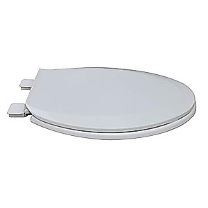 Plumbing Technologies, LLC 2F1E1-00 Toilet Seat, Elongated, White