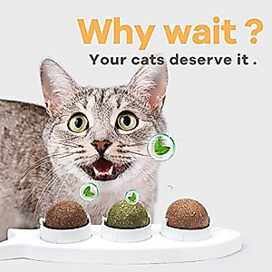 Snow Pet Magic Catnip Wall Balls Toys for Cats Wall Treats Kitten Treat Toys Indoor Catnip Ball Toys Teeth Cleaning Chew Silvervine Catnip Balls