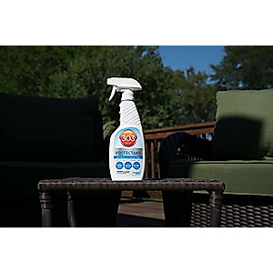 303 Aerospace Protectant - Provides Superior UV Protection, Helps Prevent Fading and Cracking, Repels Dust, Lint, and Staining, Restores Lost Color and Luster, 16oz (30308CSR)