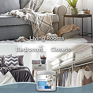 SMELLS BEGONE Air Freshener Odor Absorber Gel - Made with Essential Oils - Absorbs and Eliminates Odor in Pet Areas, Bathrooms, Cars, & Boats - Fresh Cotton Scent - 15 Ounce - 2 Pack