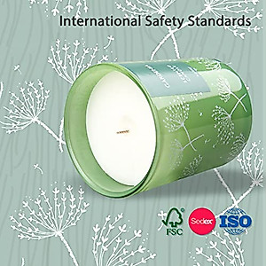 Gardenia Scented Candles 2 Pack Gifts Set Aromatherapy Candles for Home Scented, 6 Oz Natural Jar Candles Gift for Women Mom Valentines Birthday Mother's Day Housewarming