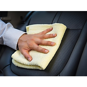 ForceField Leather Cleaner and Conditioner