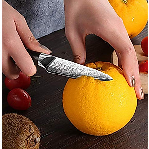 DDAUOSG Paring Knif 3.5 inch Japanese VG10 Super Steel 67 Layer High Carbon Stainless Damascus Steel Peeling Utility knives
