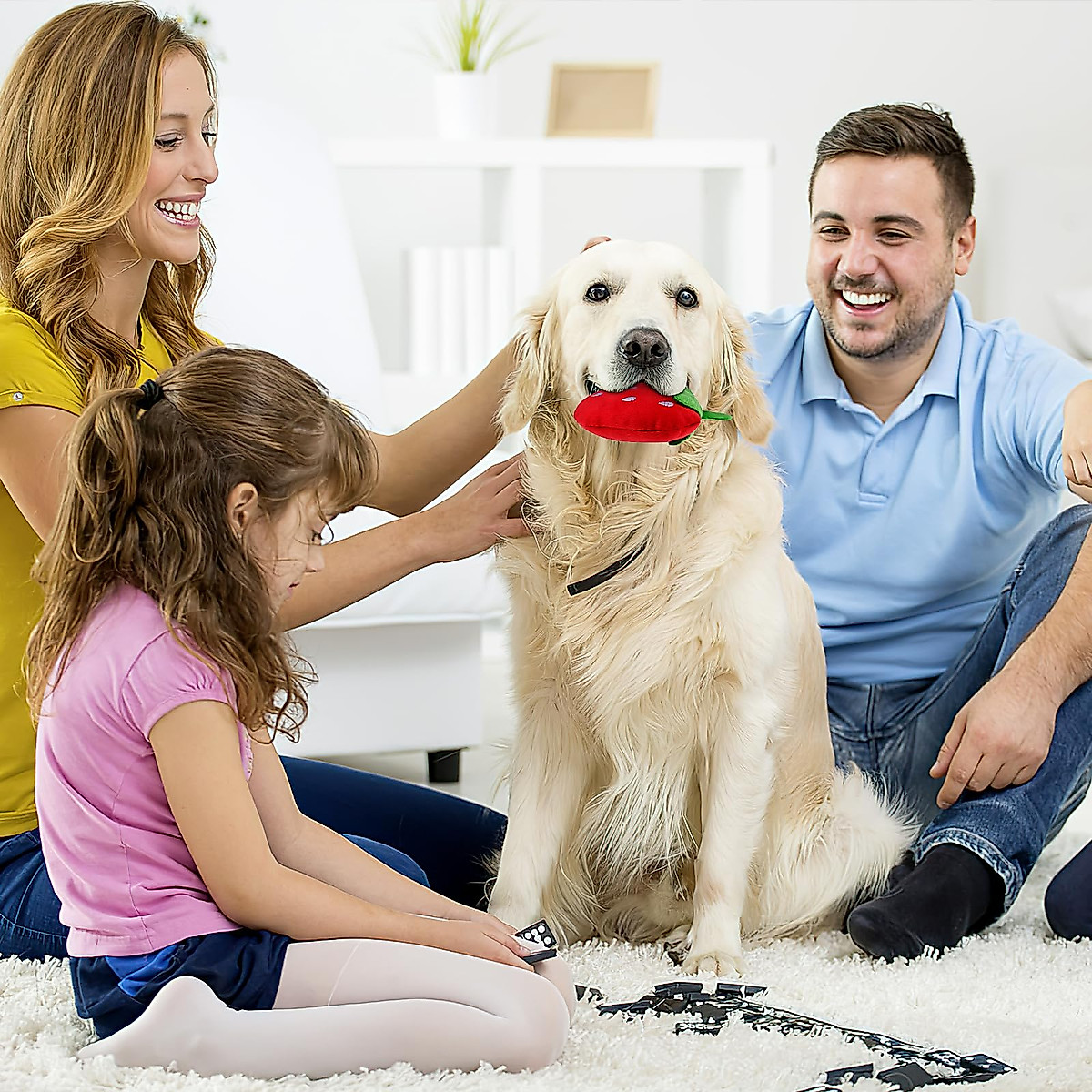 POPETPOP 2Pcs Dog Plush Squeaky Toys - Soft Strawberry Shape Interactive Puppy Chew Toy Stuffed Strawberry for Dogs Teething, Playing, Chewing for Holiday Christmas