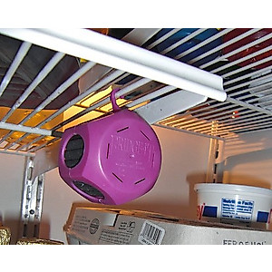 Innofresh Fridge-It- Refrigerator Deodorizer 3 PACK, Odor Absorber and Air Freshener. Natural Activated Charcoal and Fragrance Free, Lasts up to 6-Months