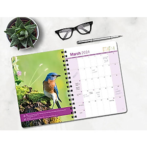 I, Us, All Annual Dated 2024 DayPlanner Medium (6.625 x 9 inches) Weekly & Monthly Organizer, Appointment Schedule, Goals and Notes