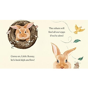 Happy Easter, Little Bunny: A Board Book (Baby Animal Tales)