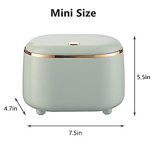 LtyTz Mini Trash Can with Lid, Removable Desk Trash Can Office Plastic Garbage Can,Tiny Waste Basket for Bathroom,Office,Kitchen,Desk,Coffee Table(Green)