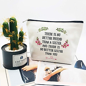 Sister Gifts from Sisters Birthday Mothers Day Gifts for Sister in Law from Brother Funny Makeup Bag for Women There is No Better Sister Than You Thank You Gifts for Christmas