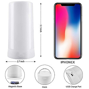 LED Flame Effect Light, PDGROW Flame Lamp 4 Modes USB Rechargeable Fire Lights Indoor Campfire Outdoor Decorative Lantern Hanging Lamps Fireplace Romantic Light for Home Party Camping Bar