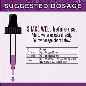 Elderberry Syrup by MaryRuth's | USDA Organic | Black Elderberry Liquid Drops for Immune Support | Sambucus Elderberry for Overall Health | Vegan | Non-GMO | Gluten Free | 30 Servings