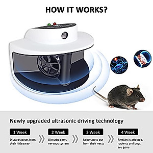 Diaotec Squirrel Repeller Ultrasonic Repellent Plug in Mouse Rodent Deterrent with 4 Modes for Rats Squirrel Mosquito Spider Mites Bugs Cockroach-Safe for Pet