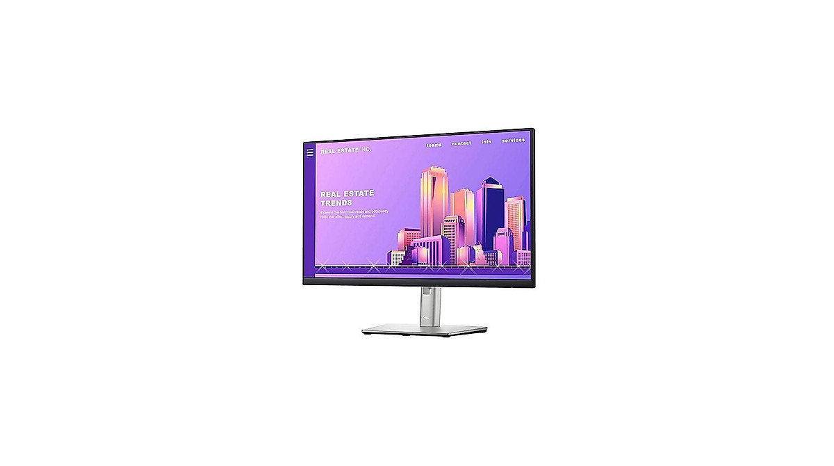 Dell 24 Monitor P2422H Full HD IPS Display for Better Productivity
