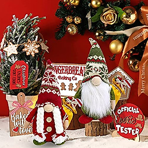 ROGENA Christmas Gnomes Christmas Gnome Christmas Gnomes Decorations Gnome Christmas Decorations Christmas Decorations