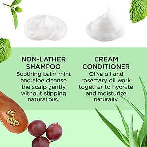 True Curl Shampoo and Conditioner Set, 12 oz